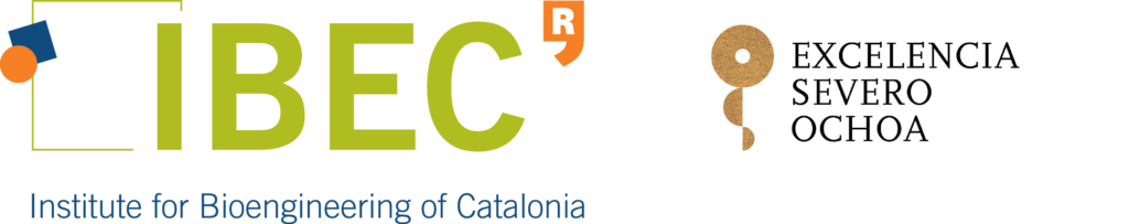 Beneficiary 1 (coordinator): IBEC – THERACAT