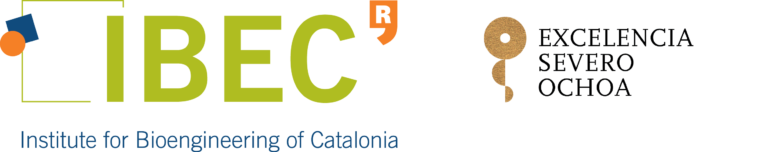 Beneficiary 1 (coordinator): IBEC – THERACAT